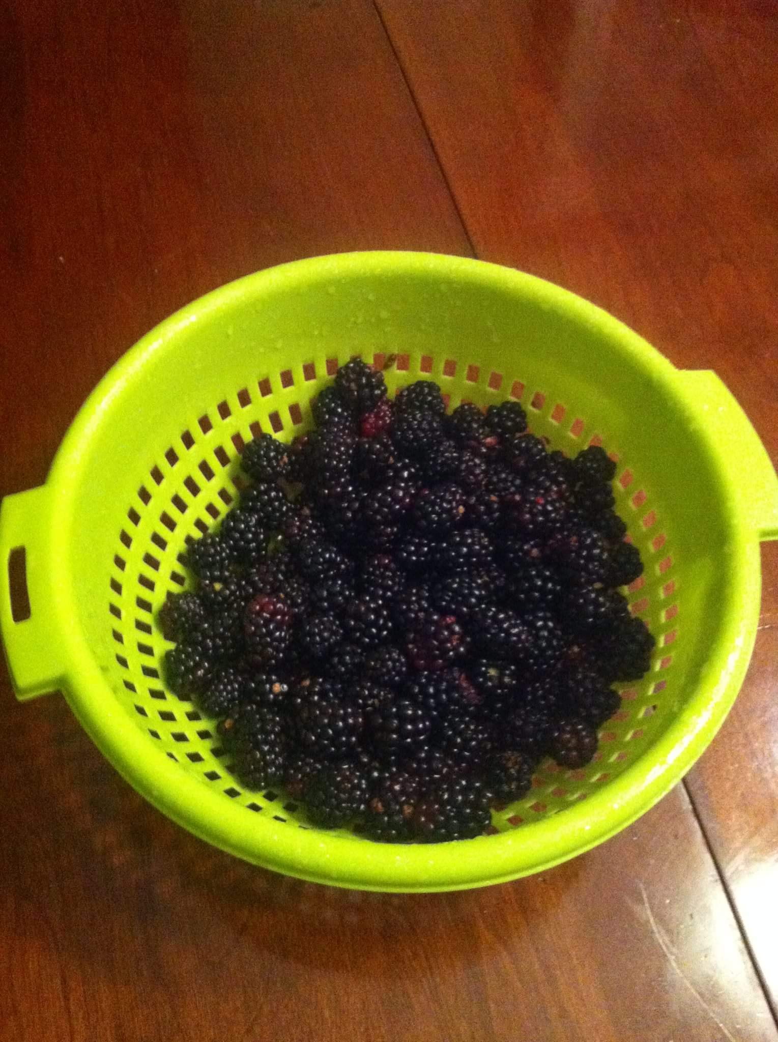 You Pick and PrePicked Blackberries - Bolin Grove Farms