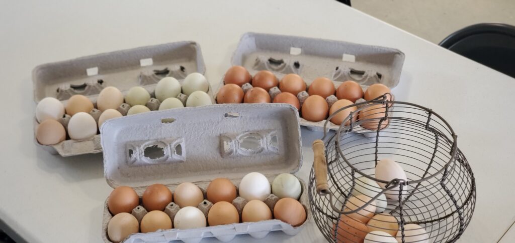 How We Built Our Chicken Coop - Bolin Grove Farms